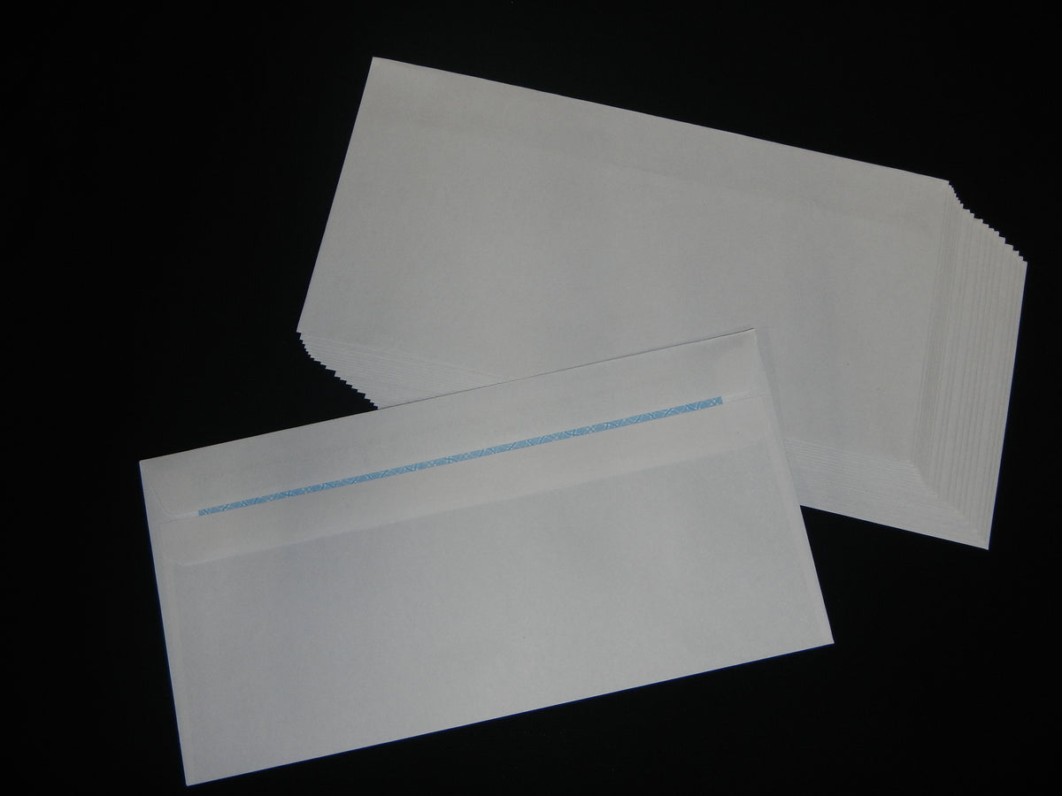 Plain envelopes DLE, pack of 20. – Lakeview Publishing
